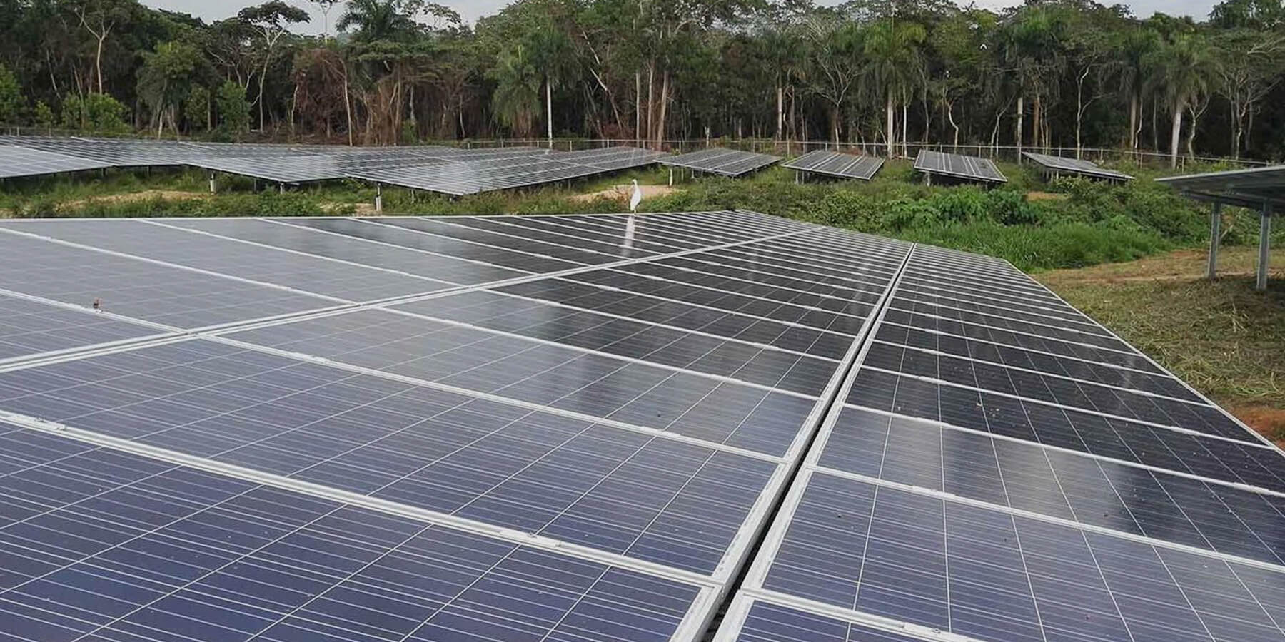 Die Lottoland Klimaschutz-Initiative - Lottoland.com