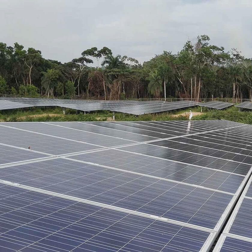 Die Lottoland Klimaschutz-Initiative - Lottoland.com